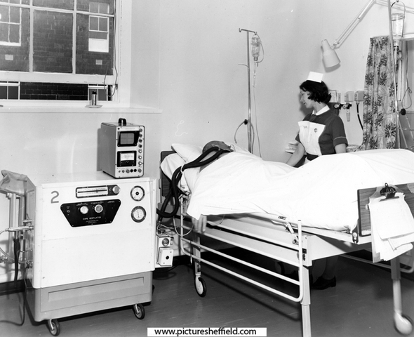 Searching Picture Sheffield