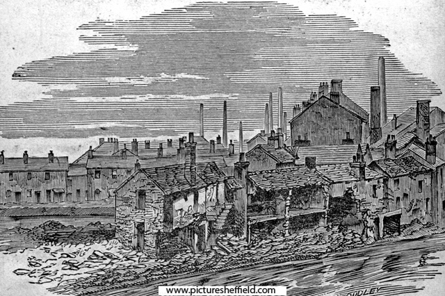 Searching Picture Sheffield