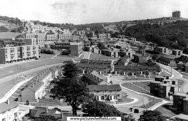 Searching Picture Sheffield
