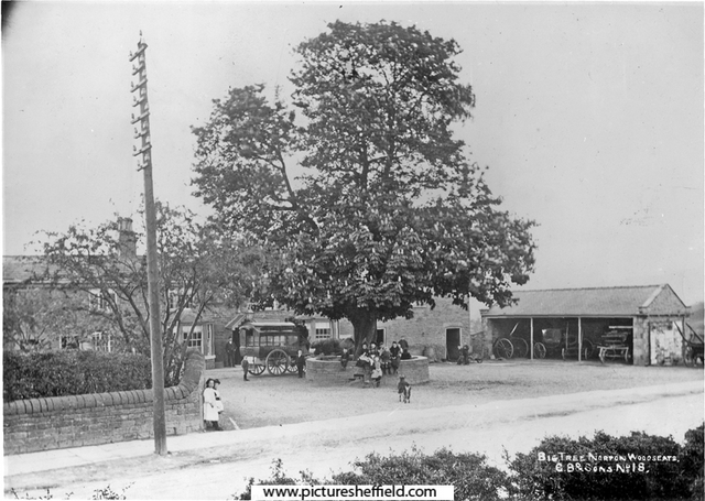 Searching Picture Sheffield