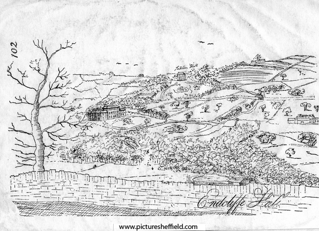 Searching Picture Sheffield