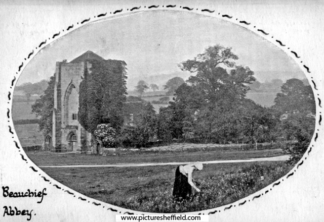 Searching Picture Sheffield