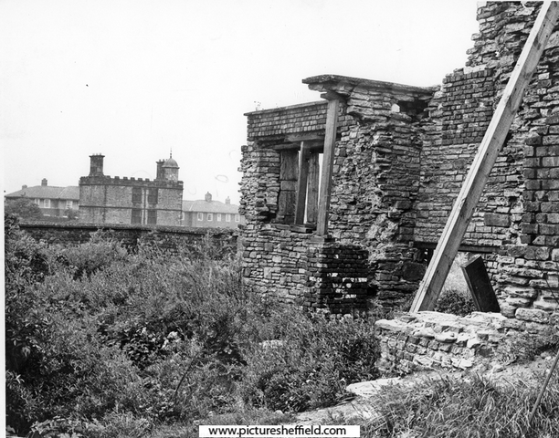 Searching Picture Sheffield