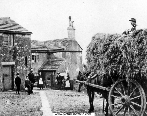 Searching Picture Sheffield