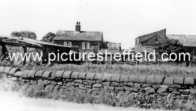 Searching Picture Sheffield