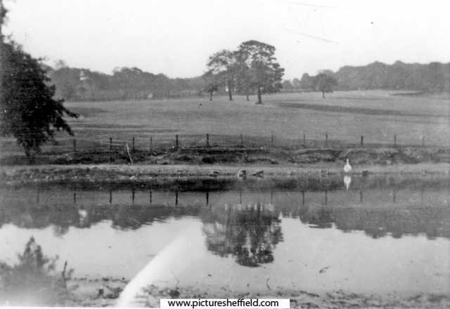 Searching Picture Sheffield