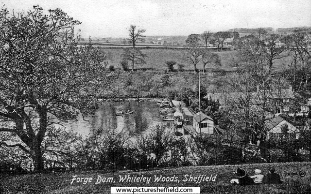Searching Picture Sheffield