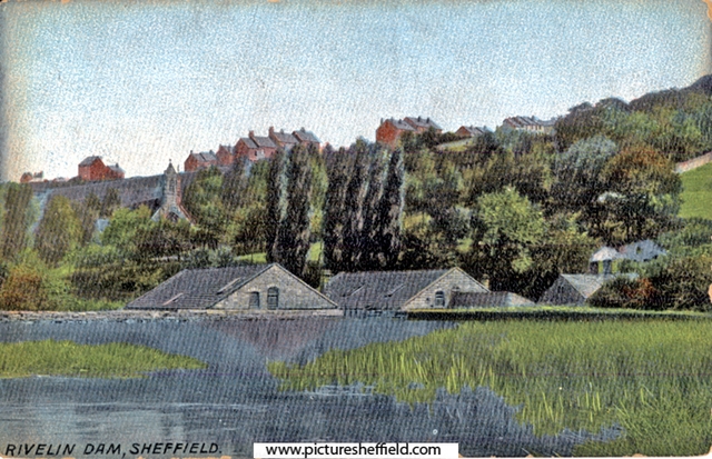 Searching Picture Sheffield