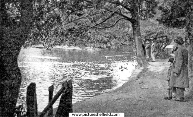 Print details Picture Sheffield