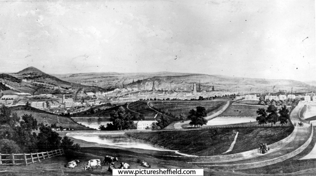 Searching Picture Sheffield