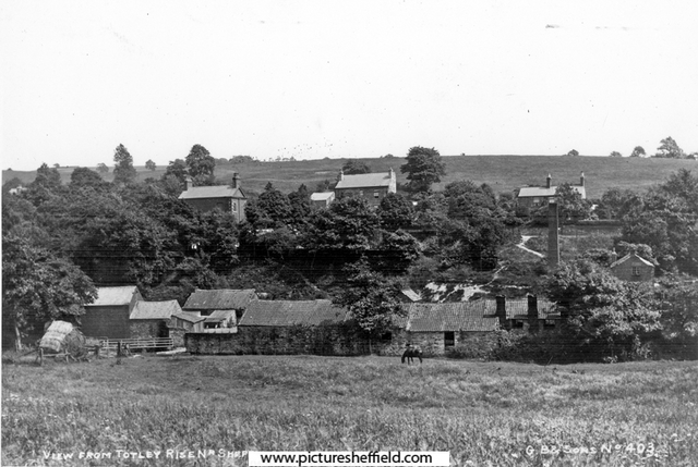 Searching Picture Sheffield