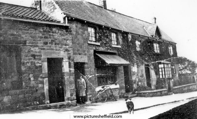 Searching Picture Sheffield