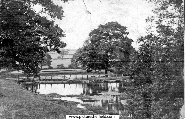 Searching Picture Sheffield