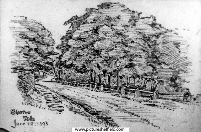 Searching Picture Sheffield