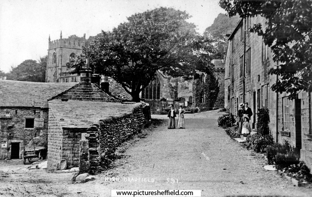 Searching Picture Sheffield