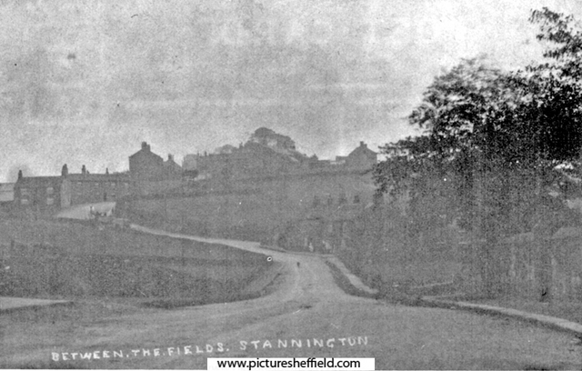 Searching Picture Sheffield