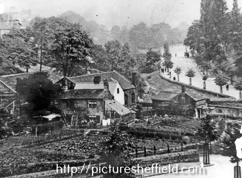 Searching Picture Sheffield
