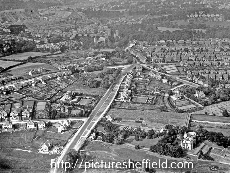 Searching Picture Sheffield
