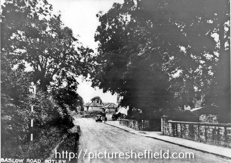 Searching Picture Sheffield