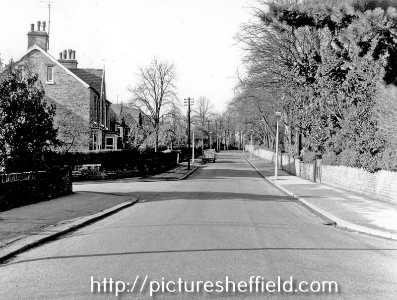 Searching Picture Sheffield