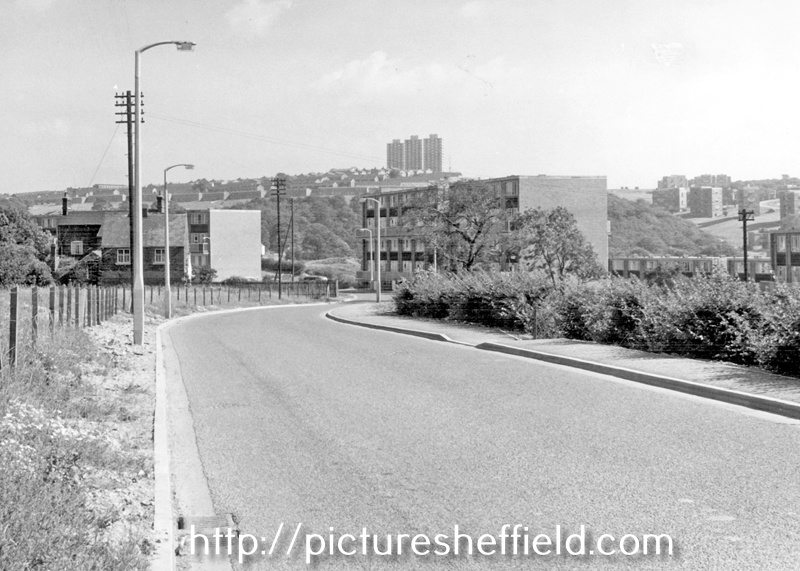 Searching Picture Sheffield