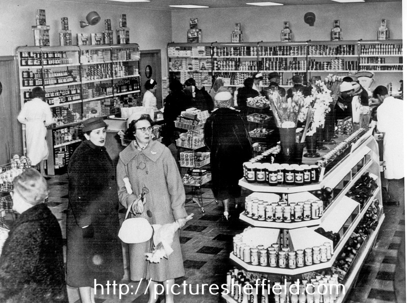 Searching Picture Sheffield