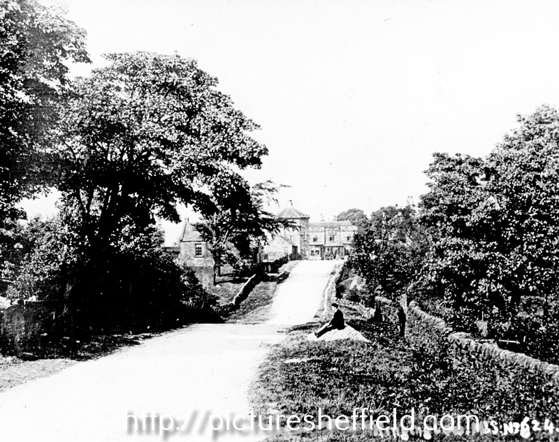 Searching Picture Sheffield