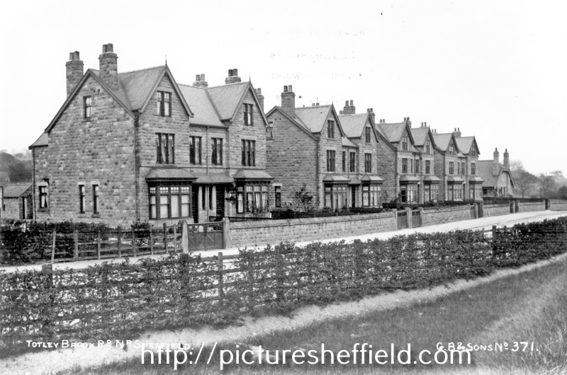 Searching Picture Sheffield