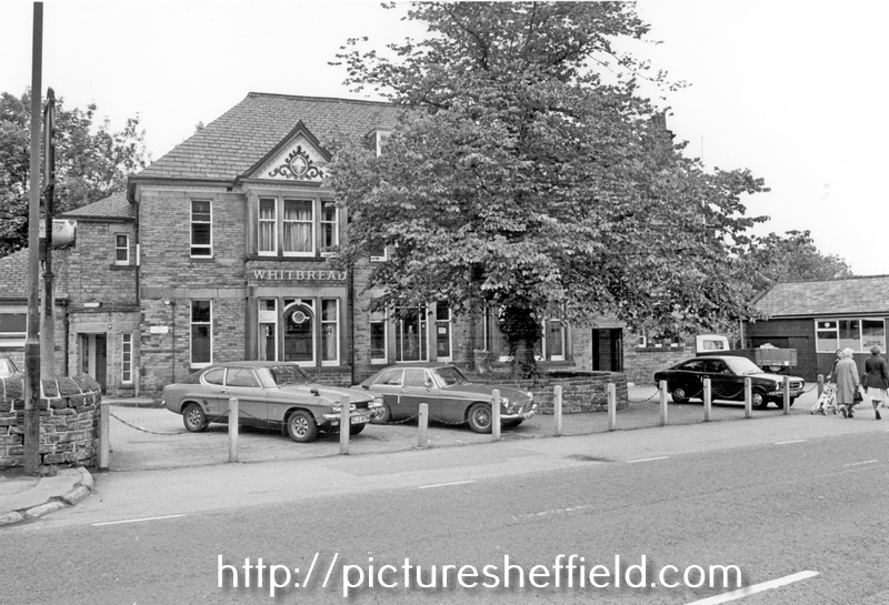 Searching Picture Sheffield