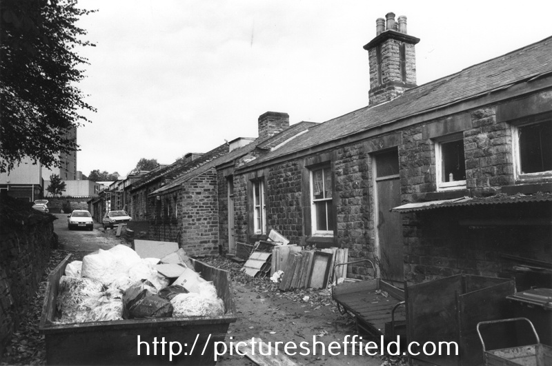 Searching Picture Sheffield