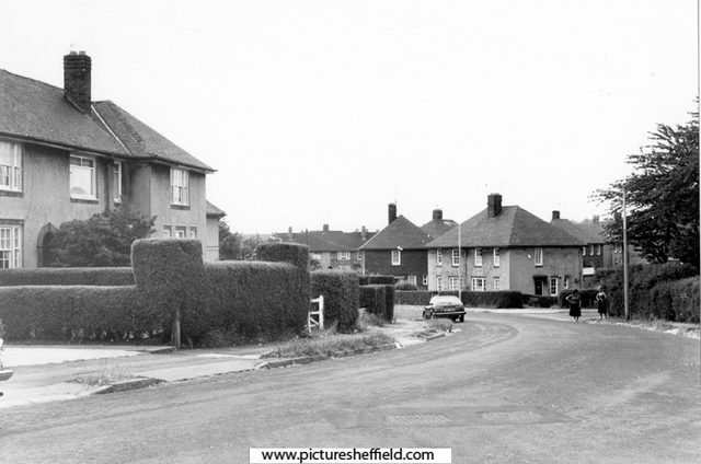 Searching Picture Sheffield