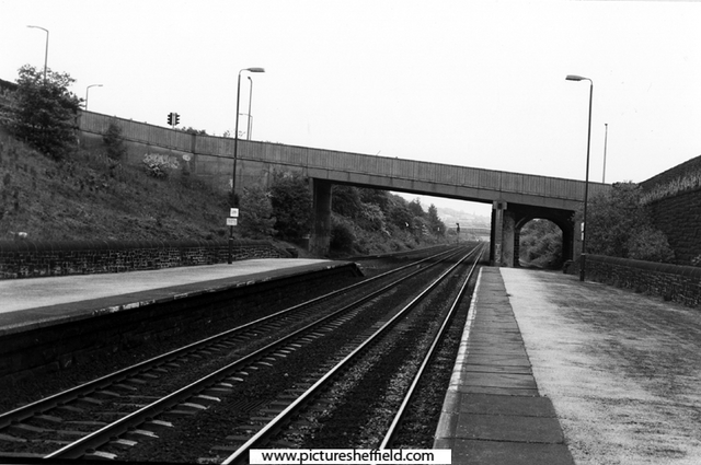 Searching Picture Sheffield