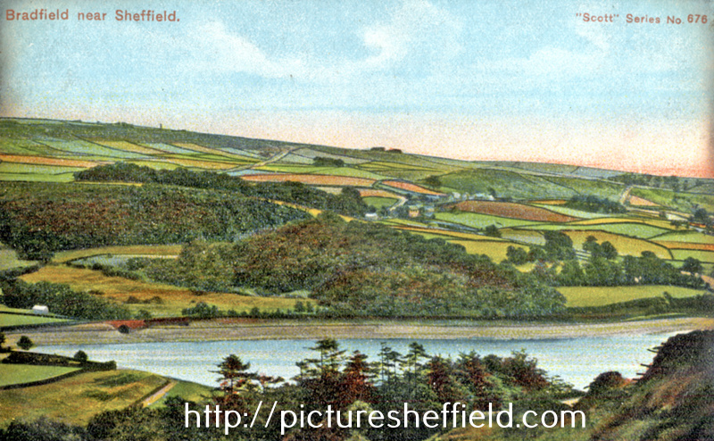 Searching Picture Sheffield