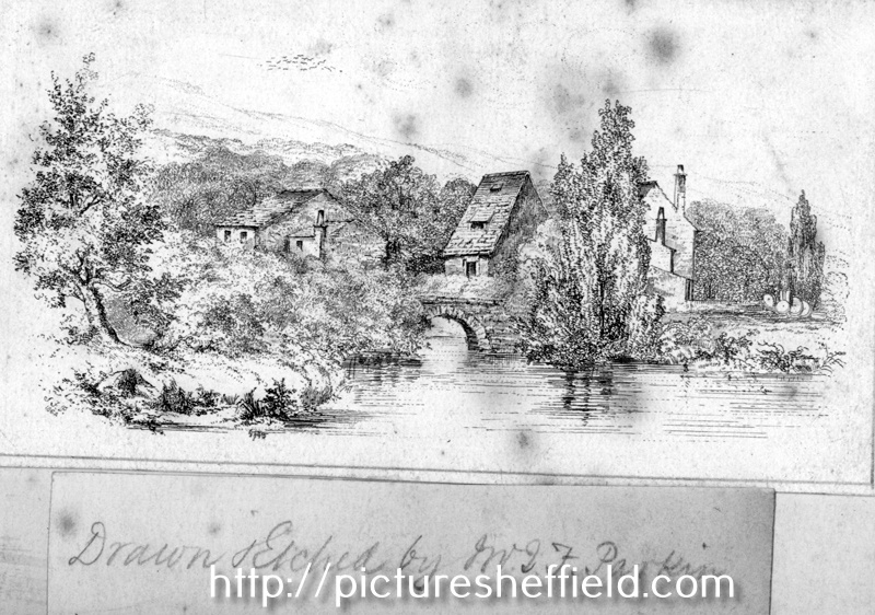 Searching Picture Sheffield