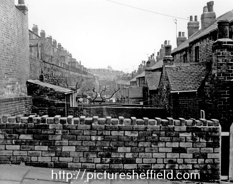 Searching Picture Sheffield