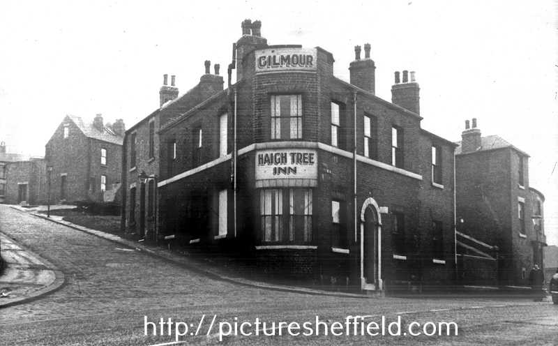 Searching Picture Sheffield