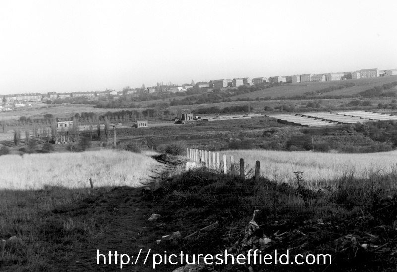 Searching Picture Sheffield