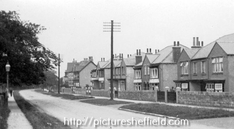 Searching Picture Sheffield