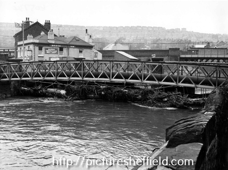 Searching Picture Sheffield