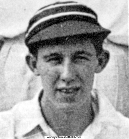 Searching Picture Sheffield