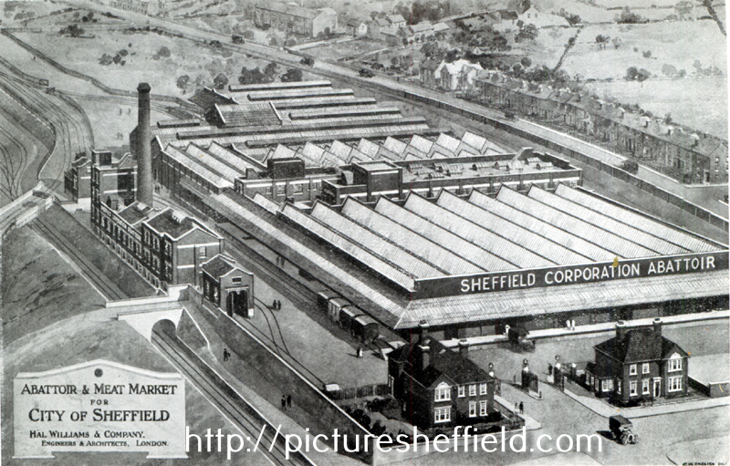 Searching Picture Sheffield