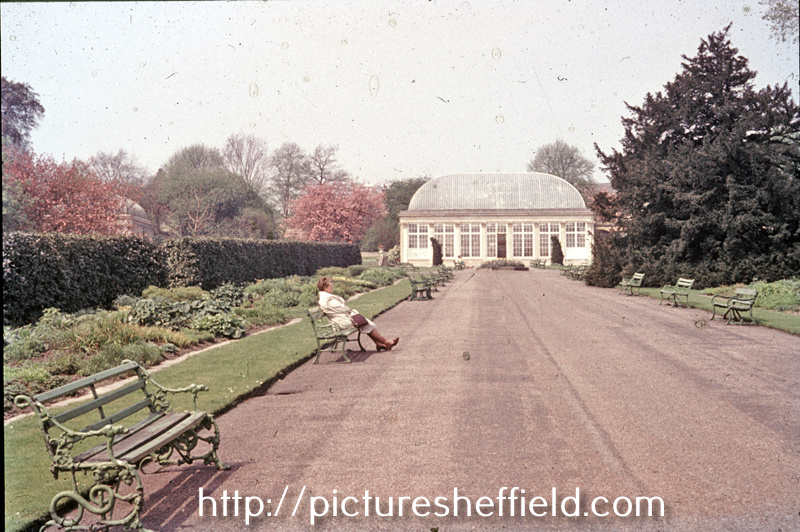 Searching Picture Sheffield
