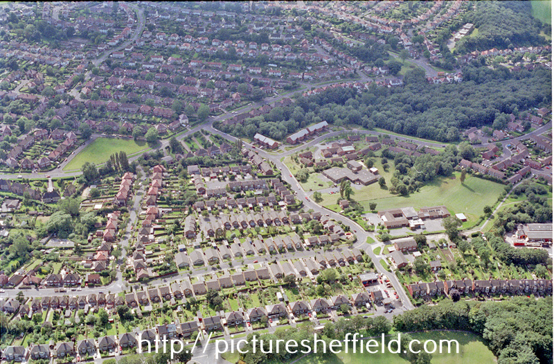 Searching Picture Sheffield