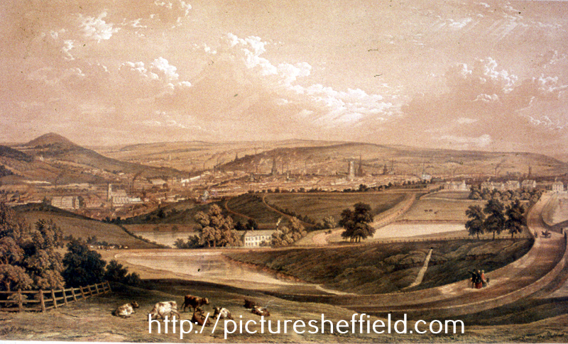 Searching Picture Sheffield