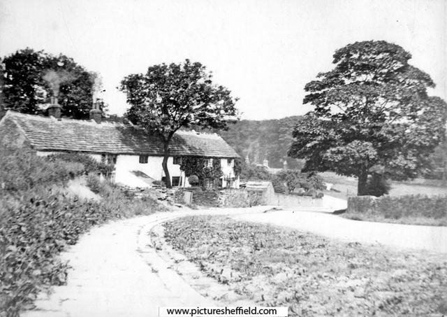 Searching Picture Sheffield