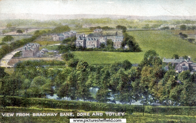 Searching Picture Sheffield