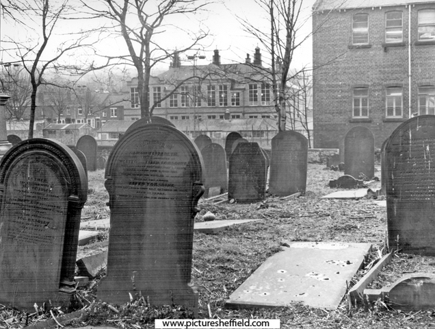 Searching Picture Sheffield