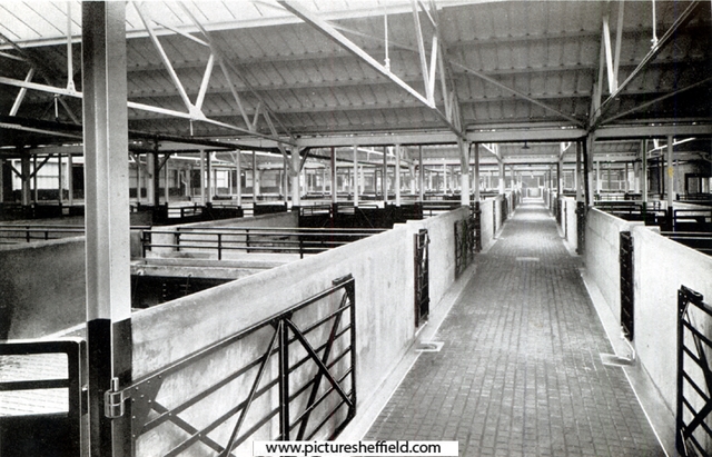 Searching Picture Sheffield