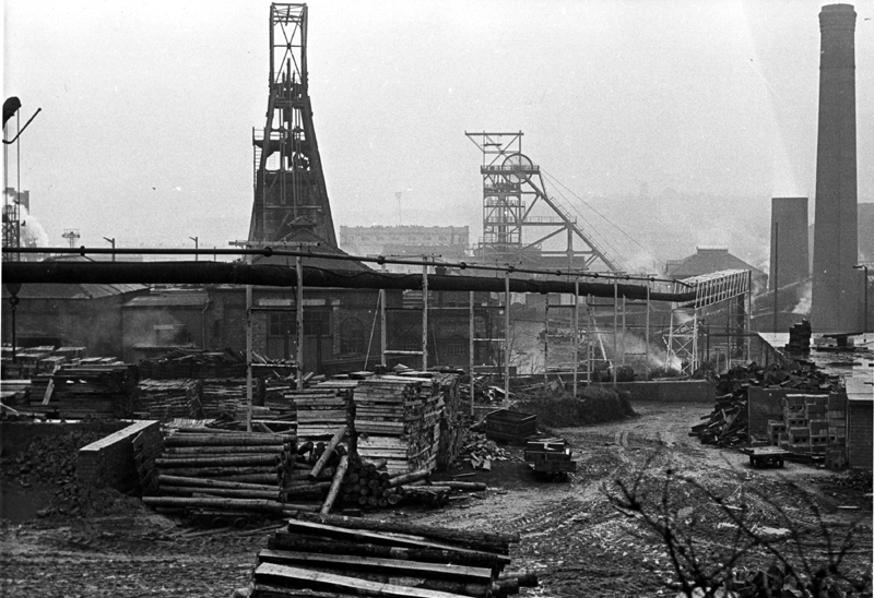 Searching Picture Sheffield