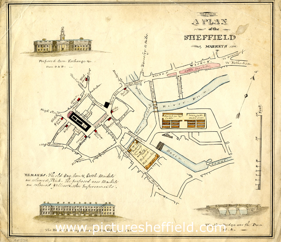 Searching Picture Sheffield